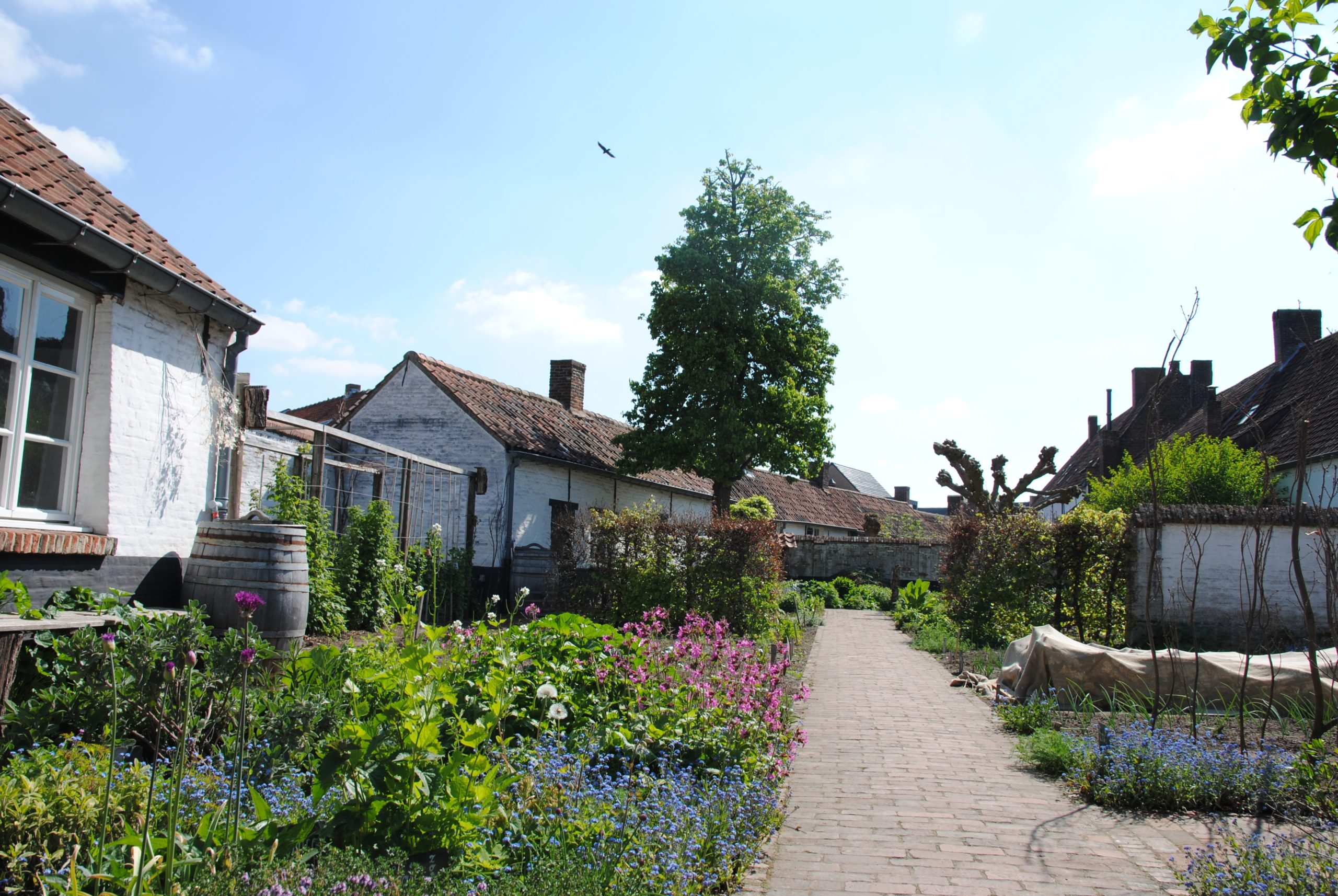 Den Ouden Koolhof | VisitHoogstraten