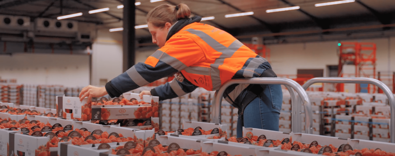 Verrassende bedrijfsbezoeken | VisitHoogstraten